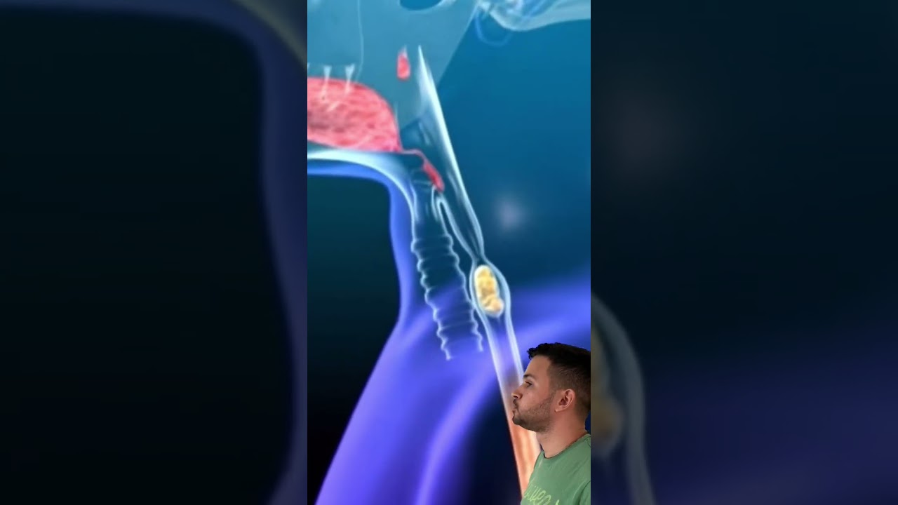 SISTEMA DIGESTÓRIO EM 3D #shorts