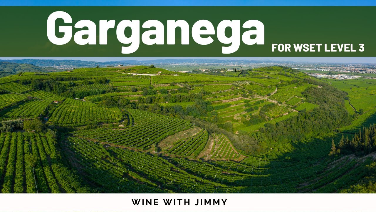 Garganega for WSET Level 3