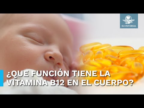 Esta es la importancia de la vitamina B12 para el organismo