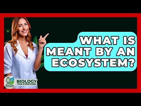 What Is Meant By An Ecosystem? - Biology For Everyone