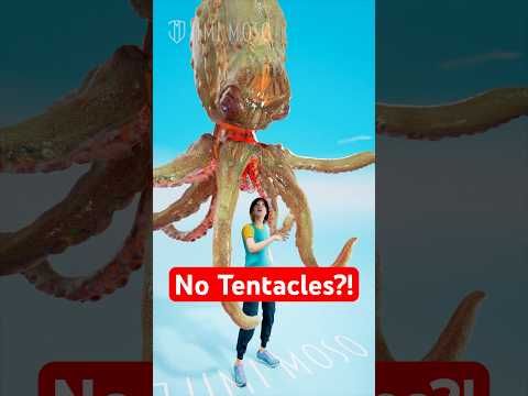 Those Aren't Tentacles?! Here's Why π #shorts #science #octopus #marinelife