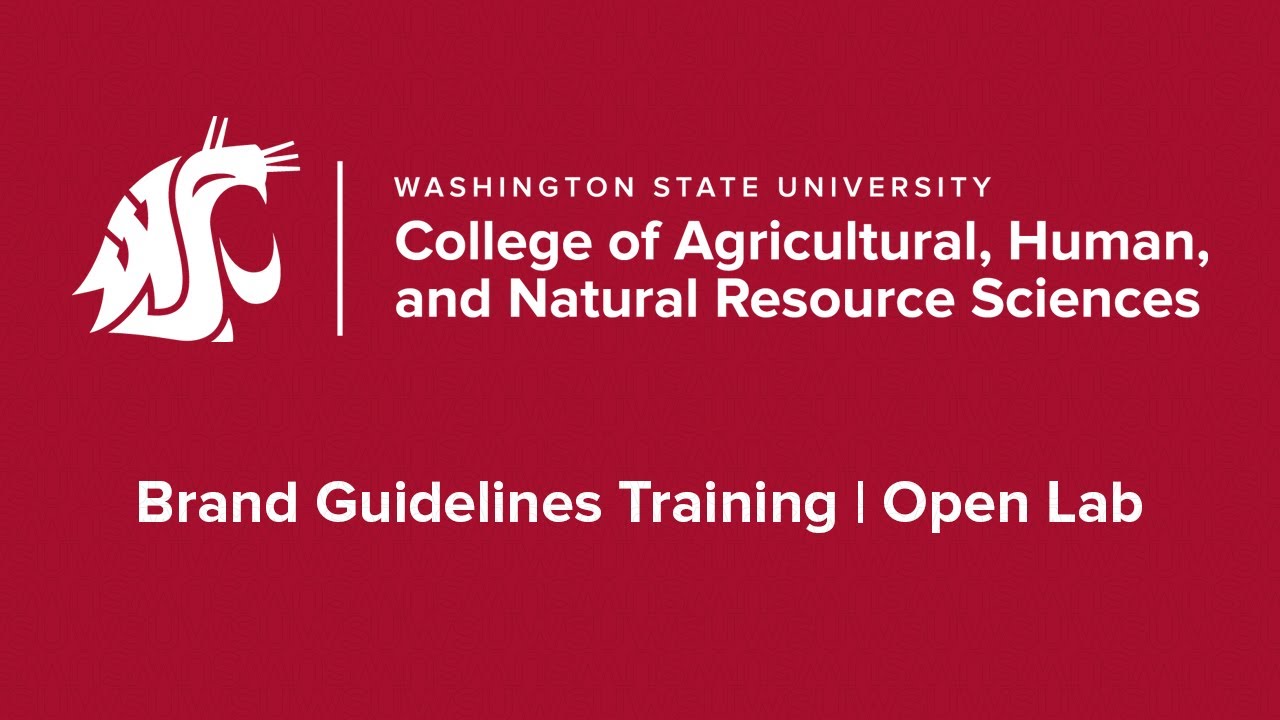 WSU Brand Guidelines Training