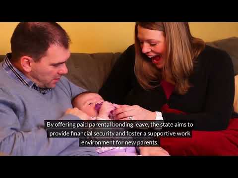 FMLA and FAMLI Leave: Understanding Employee Entitlements in Colorado in 2023 and 2024