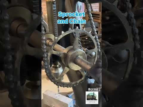 There are ALL Types of Gears!