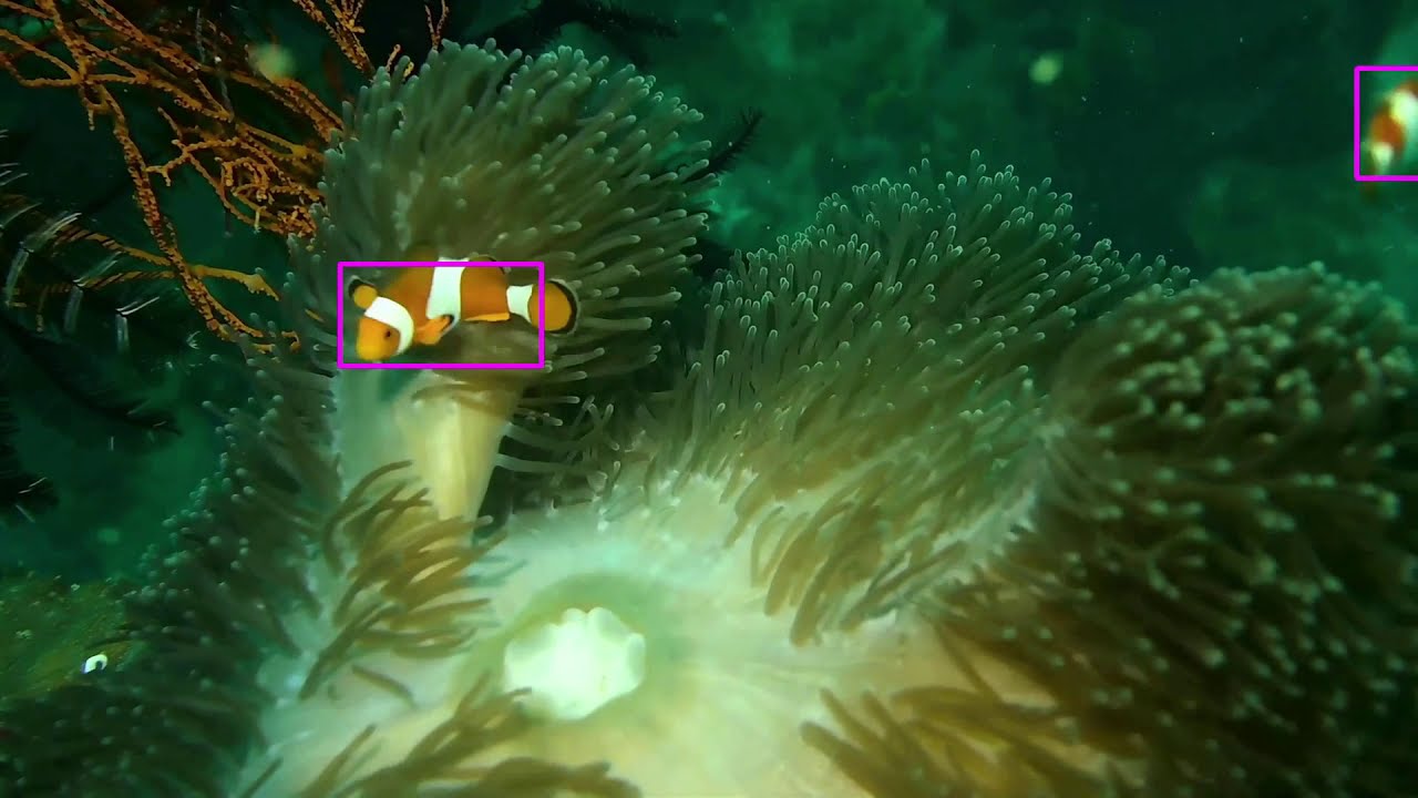 Multiple Object Tracking Using OpenCV