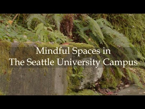 Mini Documentary: Mindful Spaces in The Seattle University Campus