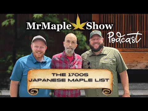 Japanese Maples 1700's List Feat. Dr. Murray | Classic Japanese Maples