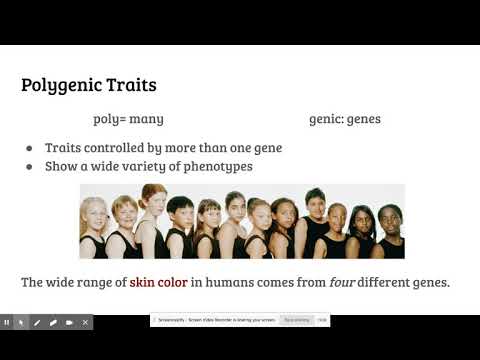 Polygenic Traits