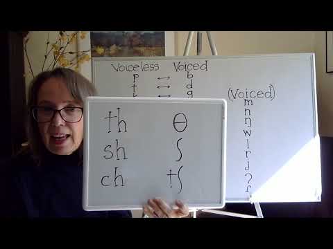 consonant WHICH IS VOICELESS? WHICH VOICED?