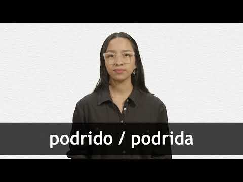 Traducción en inglés de “PODRIDO” | Collins Diccionario español-inglés
