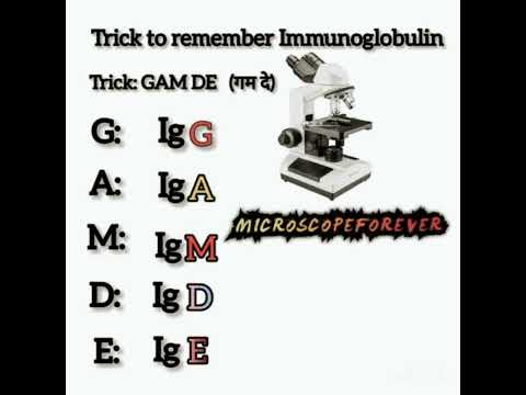 trick to remember Immunoglobulin,immunoglobulin,lgG,IgA,IgM,IgD,IgE