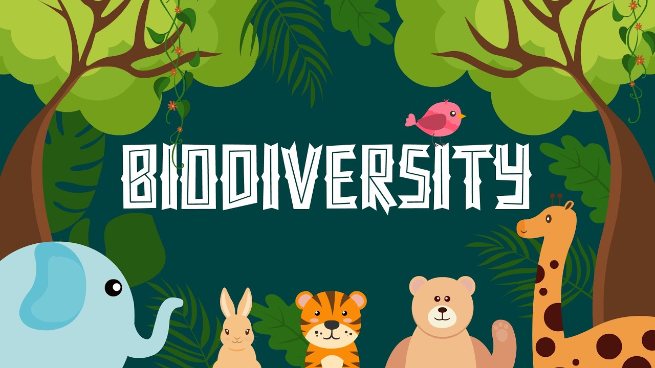 Understanding Biodiversity: Definition, Types, and Importance | Galaxy.ai