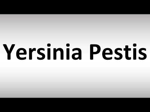 How to Pronounce Yersinia Pestis