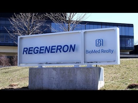 Regeneron Shares Slide as FDA Puts Drug Study on Hold