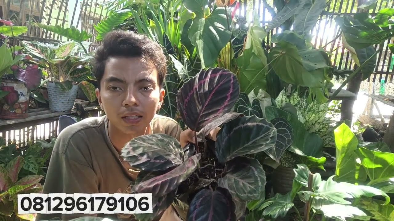 LATEST PROMOTION FOR CHEAP DECORATIVE FLOWERS, COD AVAILABLE