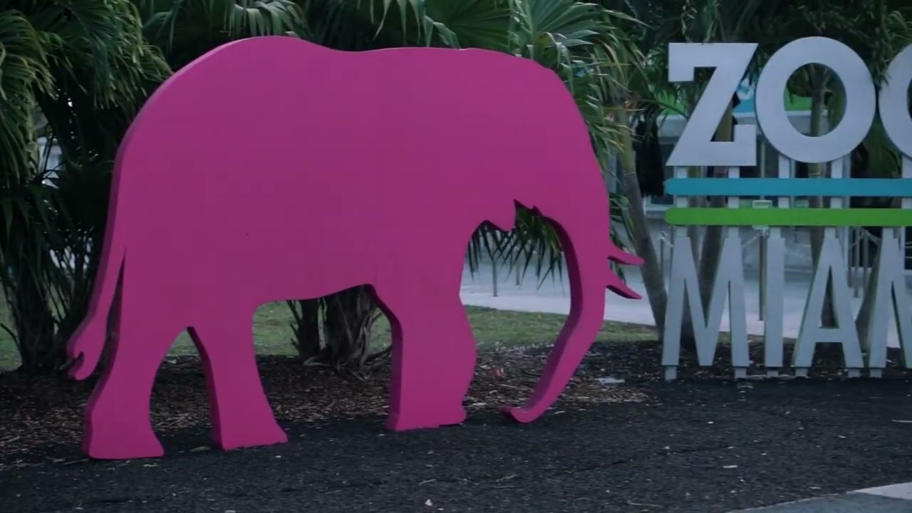 Visit Miami's Best Attractions | Miami & Miami Beach