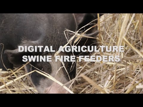 Re:Search 2023 - Digital Agriculture: Swine FIRE Feeders