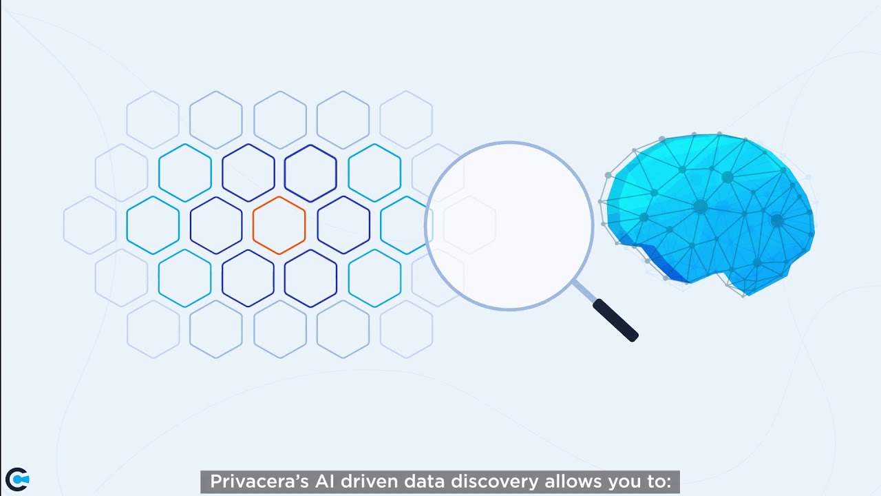 Privacera Data Discovery Explainer Video