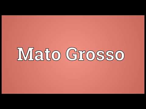 Mato Grosso Meaning
