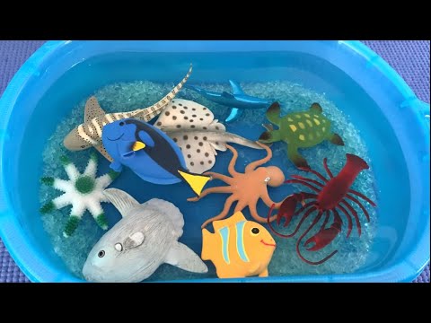Sea Animal Toys Water Sensory Bags