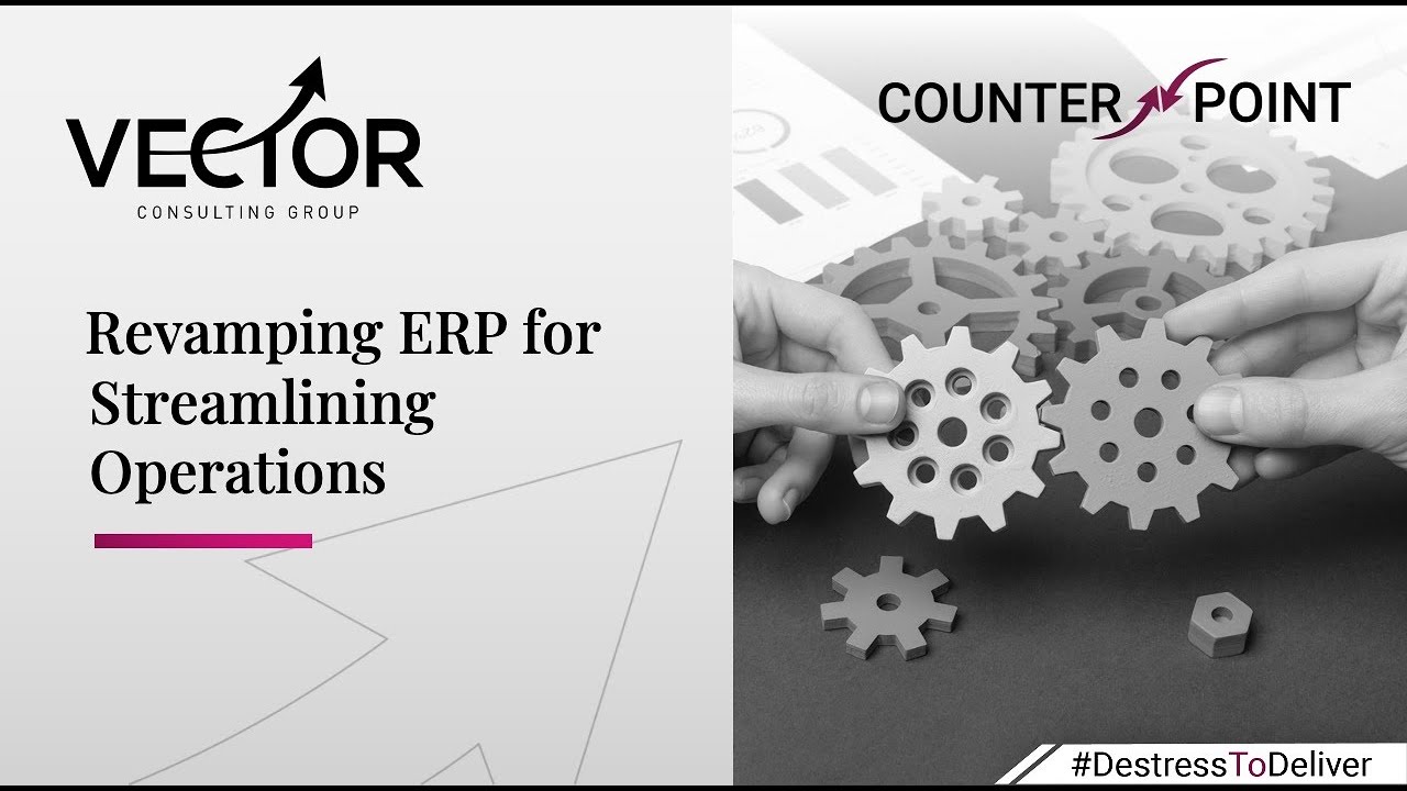 Revamping ERP for Streamlining Operations | Vector Consulting Group