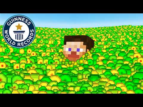 I Broke 176 IMPOSSIBLE Minecraft Records in 2 Years