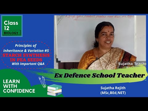Starch Synthesis in Pea Seeds | English | Principles of Inheritance and Variation Part 5