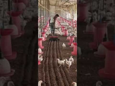 Poultry Equipment - Poultry Farm Equipment Latest Price, Manufacturers ...