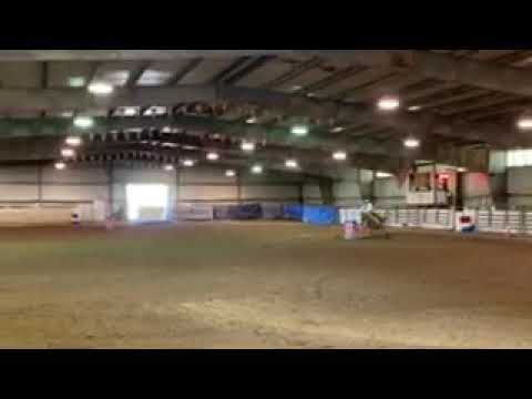 D & D Stables NBHA States