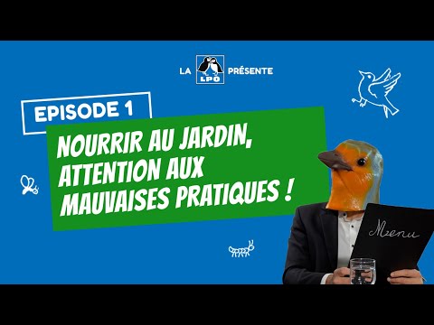 Nourrir les oiseaux – Le blog de Passiflore