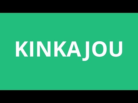 How To Pronounce Kinkajou - Pronunciation Academy