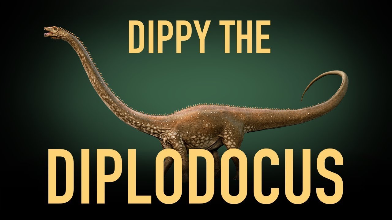 Dippy the Diplodocus- Documentary
