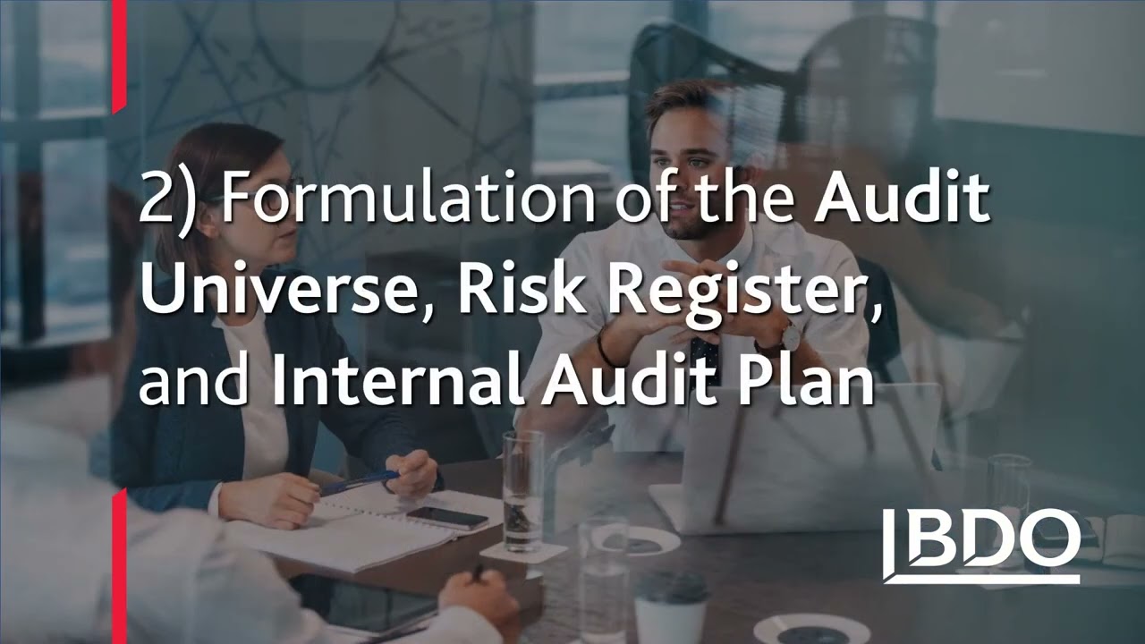 BDO  Internal Audit: Giving you precisely what you need. with voice-over