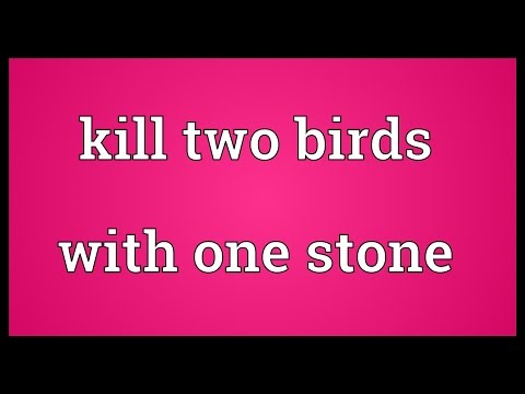 Kill two birds with one stone Meaning