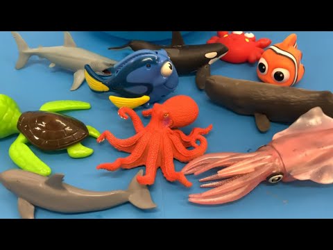 Sea Animal Toys with Fun Facts for Kids