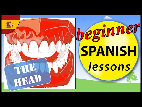 Parts of the head in Spanish | Beginner Spanish Lessons for Children