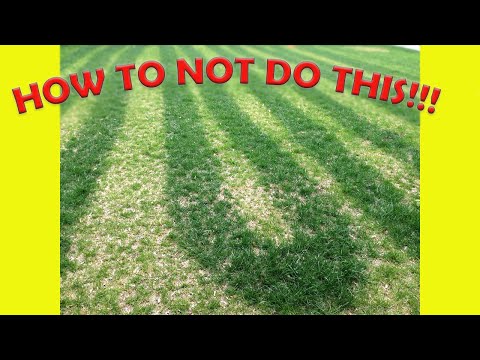 How To Use A Spreader For Fertilizer!!!