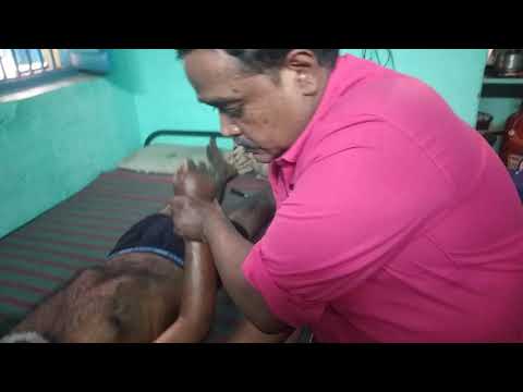 NAGARAJAN VARMA MASTER DOING VARMA TREATMENT TO STROKE PATIENT.