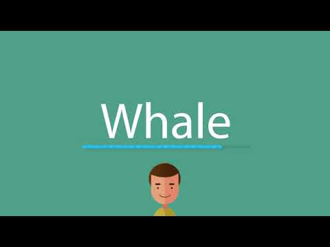 How to say Whale