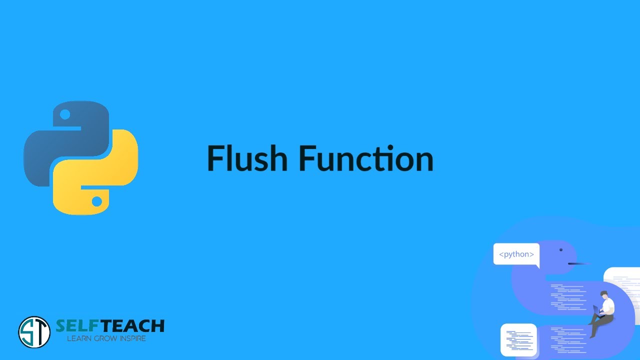 Flush Function | Python class 12 | Chapter 4 #4.9