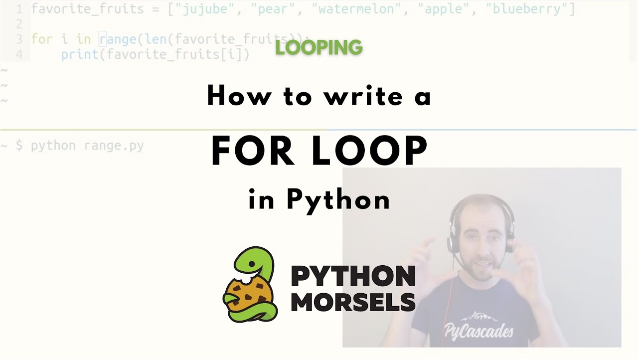 Writing a for loop in Python