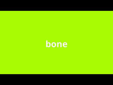 what is the meaning of bone.