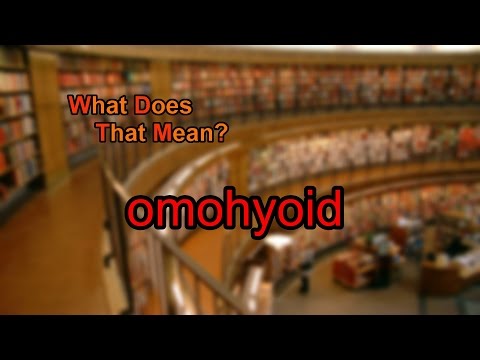 What does omohyoid mean?