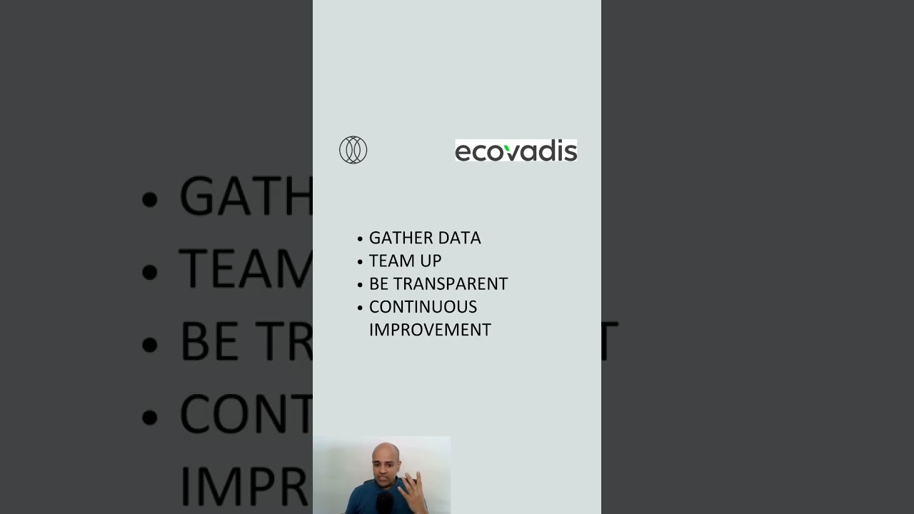 What is EcoVadis?