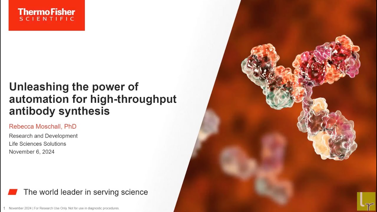 Unleashing the Power of Automation for High Throughput Antibody Synthesis