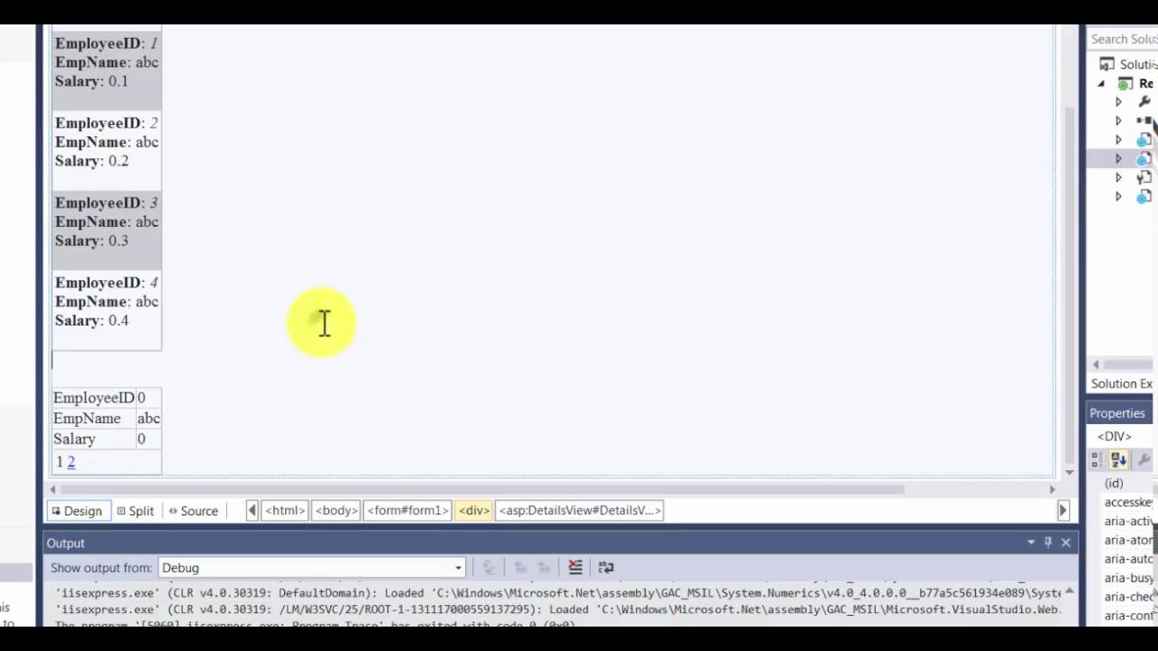 ASP.net Database - DataSource and DetailsView Controls