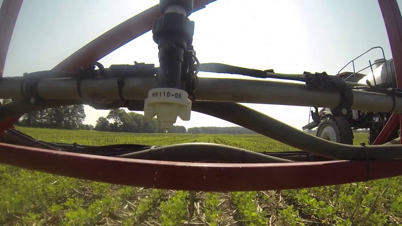 Farmer: Roundup is best for killing weeds