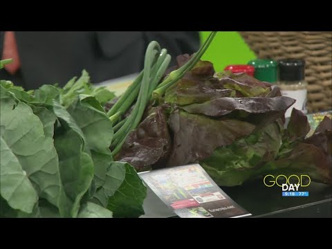 Hancock County Farmers Market | Good Day on WTOL 11