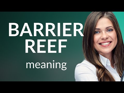Understanding the "Barrier Reef"