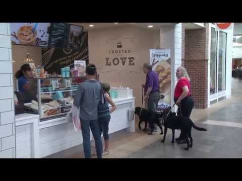 Guide Dogs | NC Now | UNC-TV